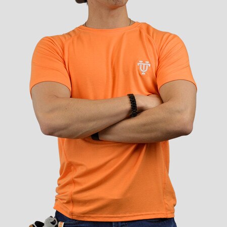 Logo: Interlocking-UT